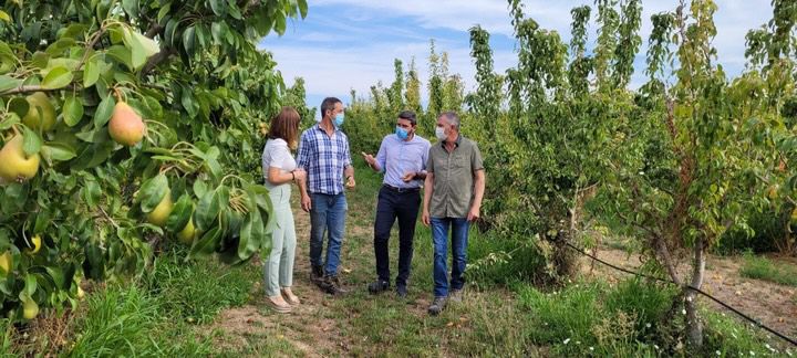 Food Chain Members - Fruit Alliance