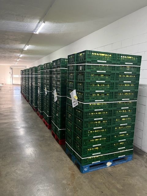 Food Chain Members - Fruit Alliance