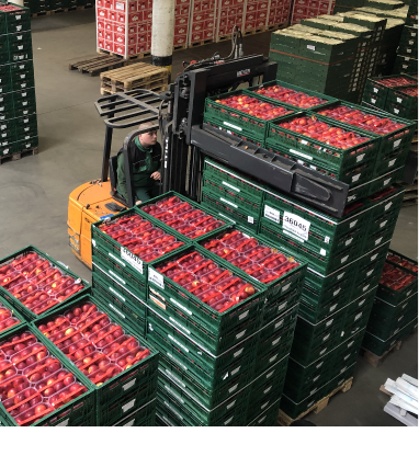Food Chain Members - Fruit Alliance