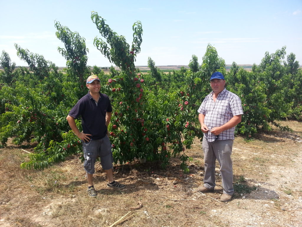 Food Chain Members - Fruit Alliance